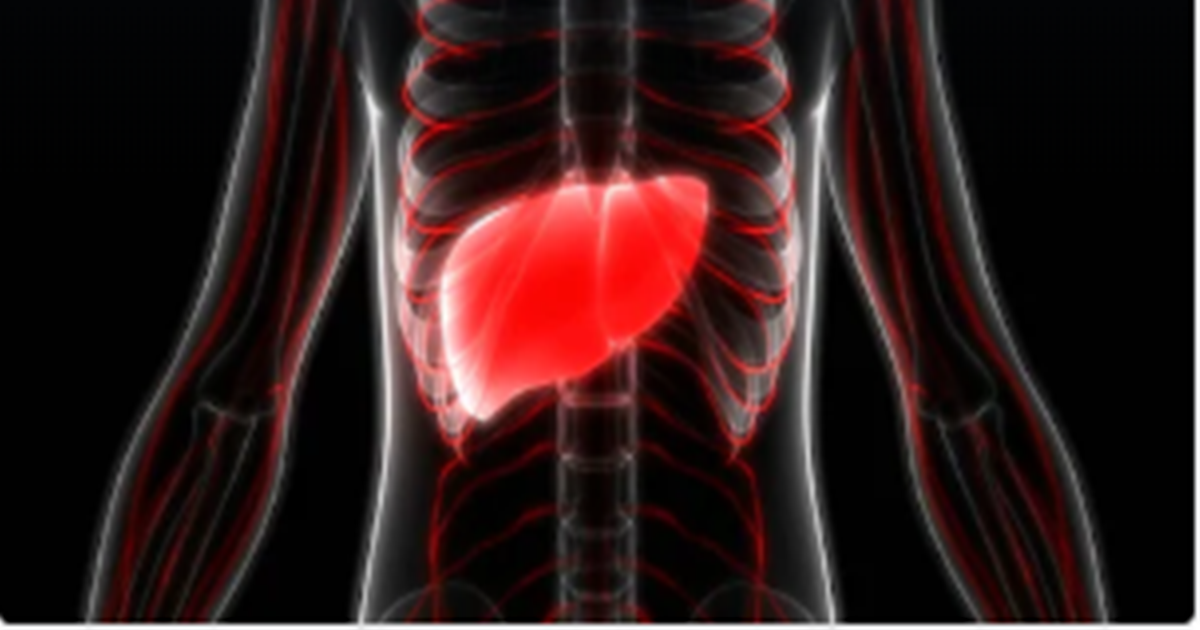 CIRROSE HEPÁTICA SINTOMAS CAUSAS E TRATAMENTOS